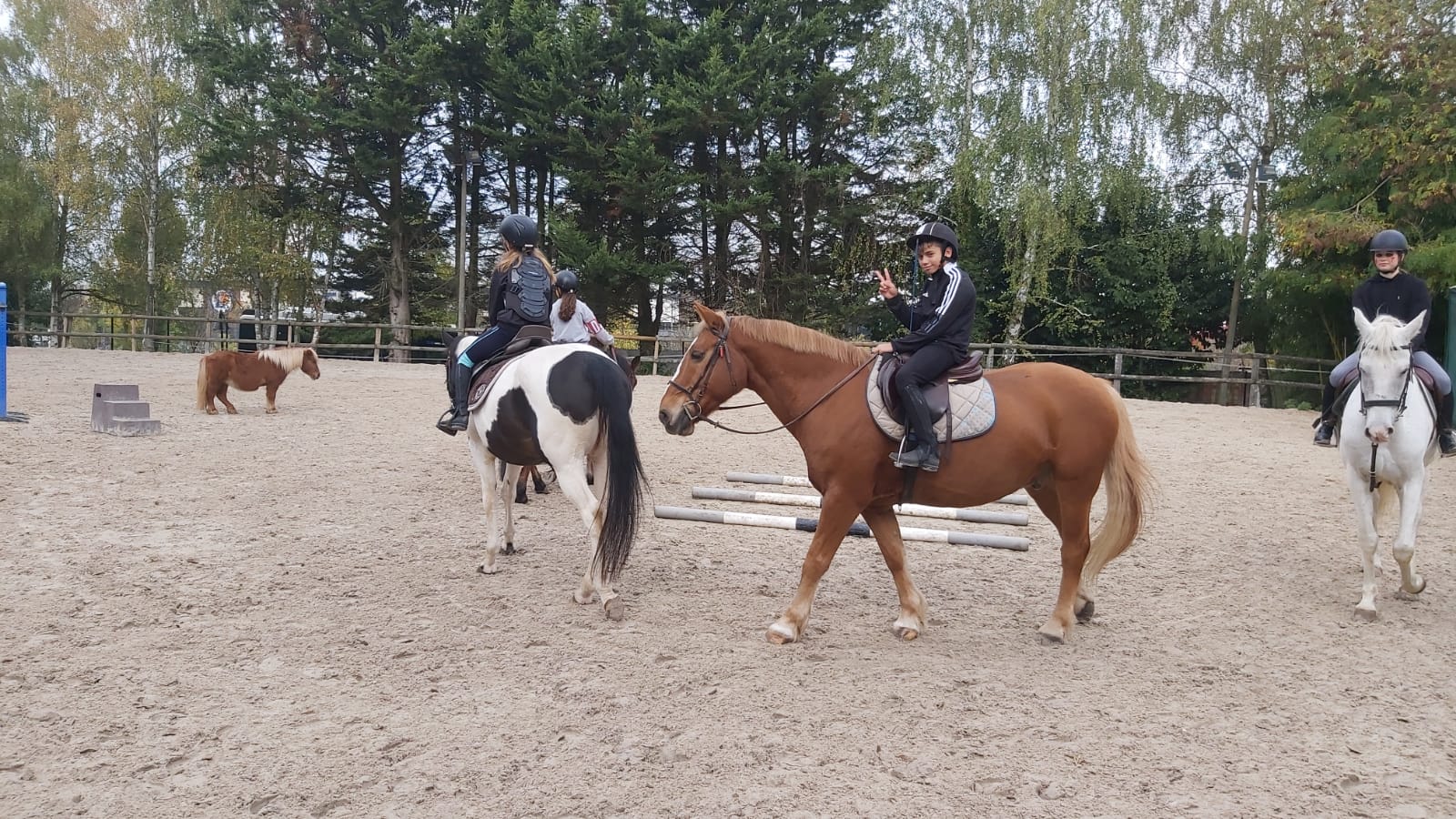 Stage Fort Boyard - 2ème semaine - Centre équestre - Poney Club ...